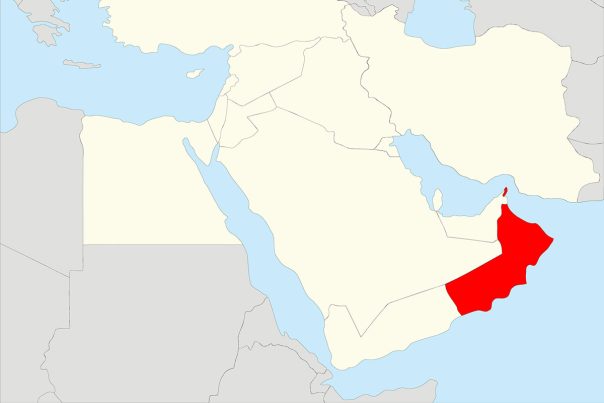 Oman Investment Authority Returns 9.95% in 2023 | Chief Investment Officer