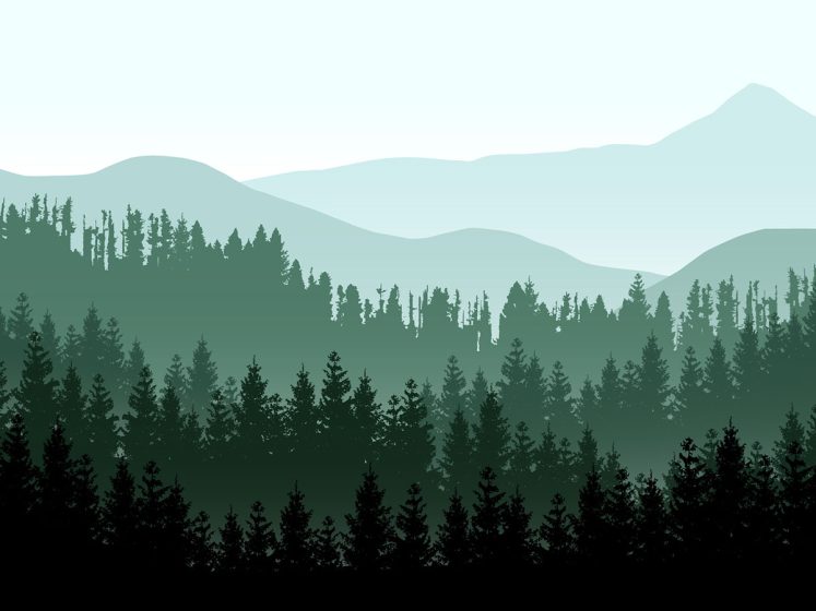 CDPQ to Build Forestland Portfolio in US Pacific Northwest | Chief ...