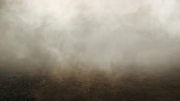 Many Project Mild Interest in Private Equity Among DC Plans | PLANADVISER