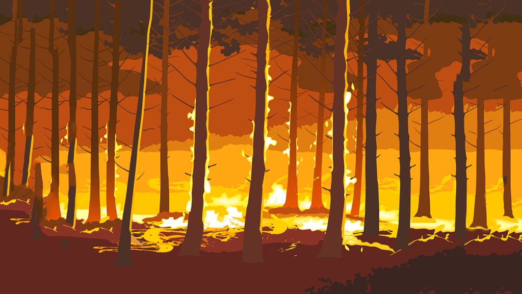 IRS Covered Compensation Tables Available for 2025 | PLANSPONSOR